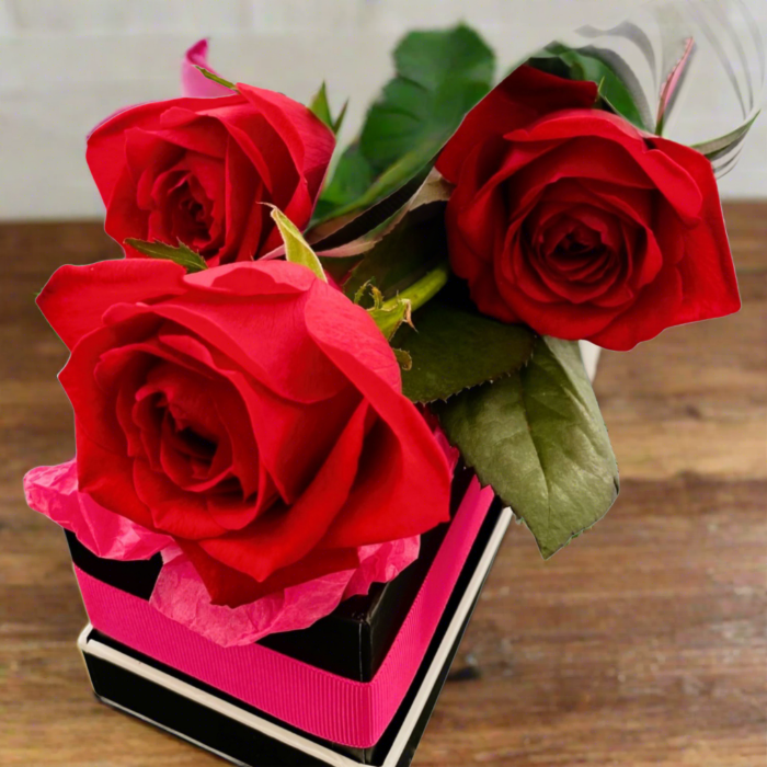 Crush - Red Rose Bud Vase – Perrotts Florists